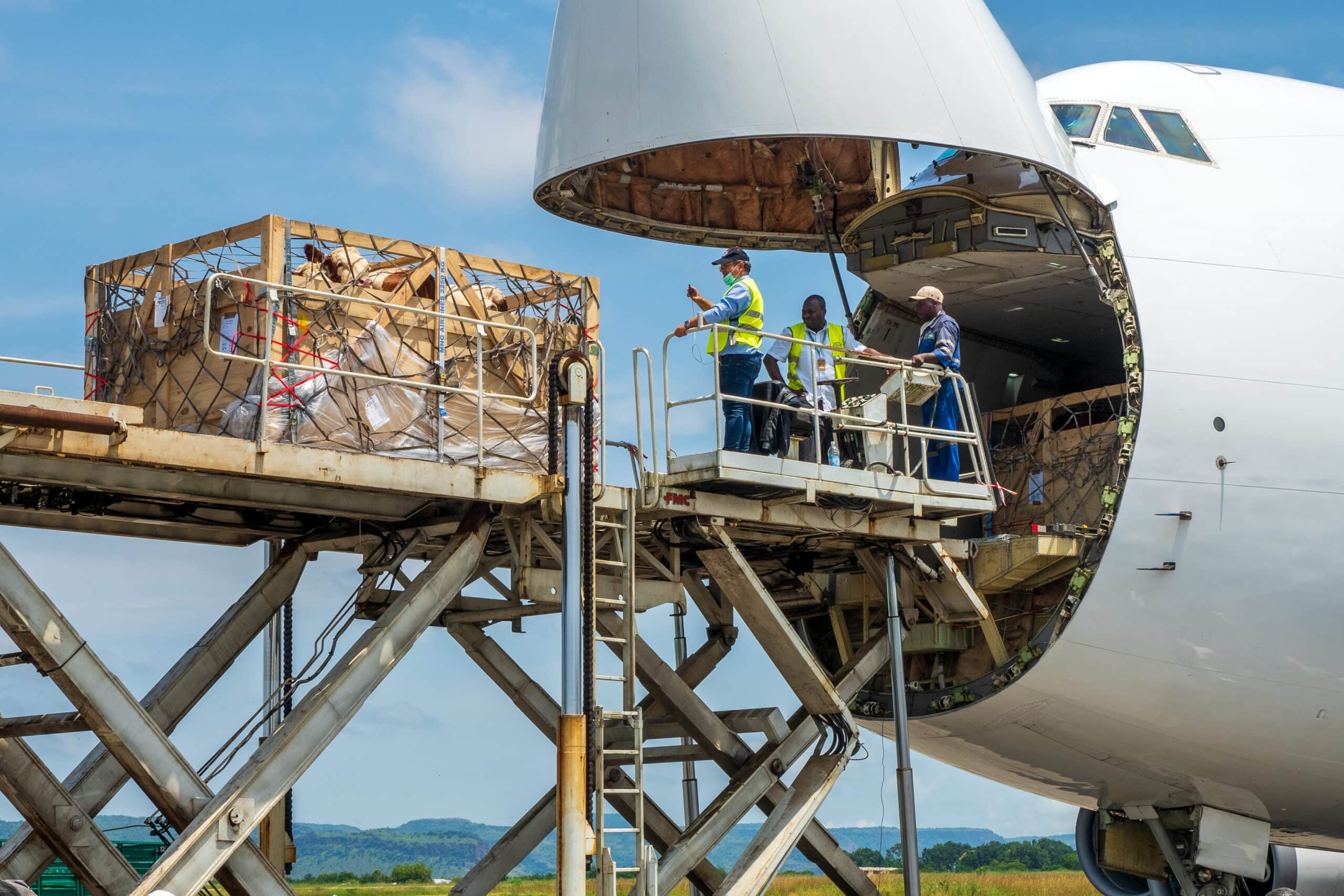 Air Freight - Specialised International Services - Gava